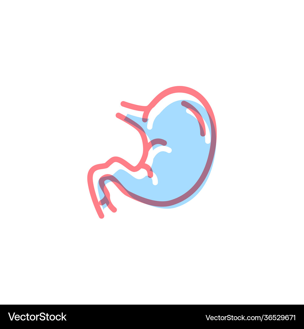 Stomach icon in modern colors on white Royalty Free Vector