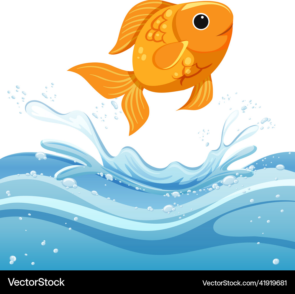 A water splash with goldfish on white background Vector Image