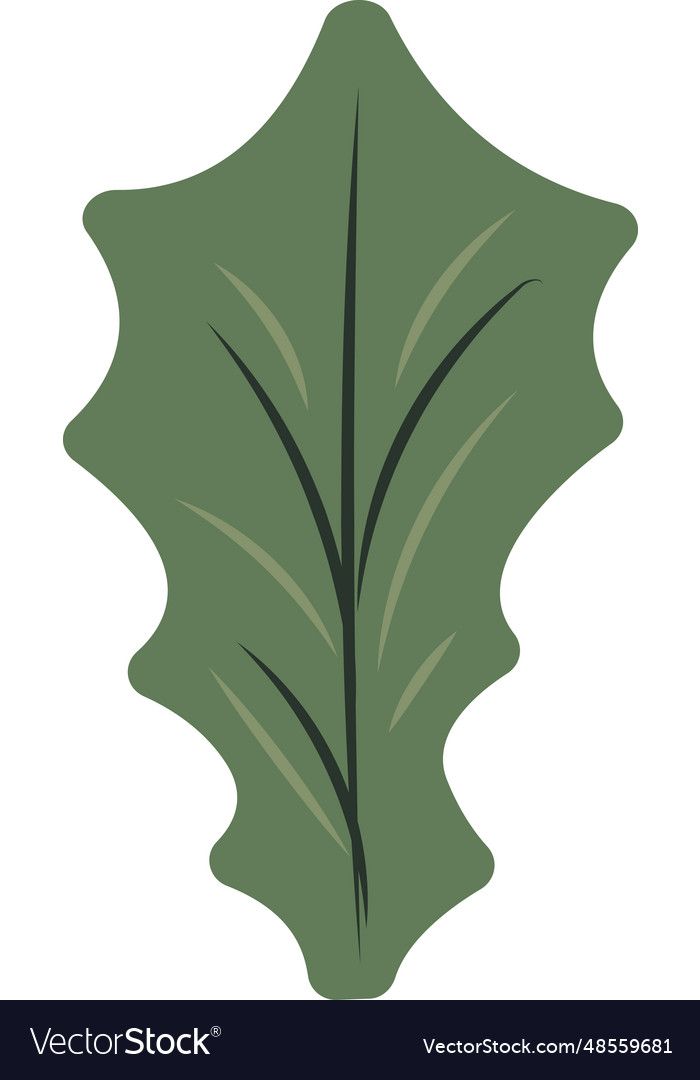 Tree leaf icon Royalty Free Vector Image - VectorStock