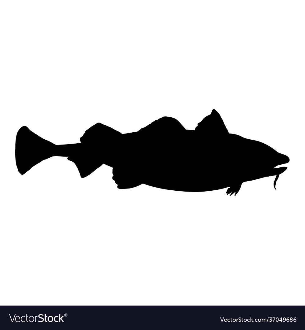Silhouette cod fish Lizenzfreies Vektorbild - VectorStock