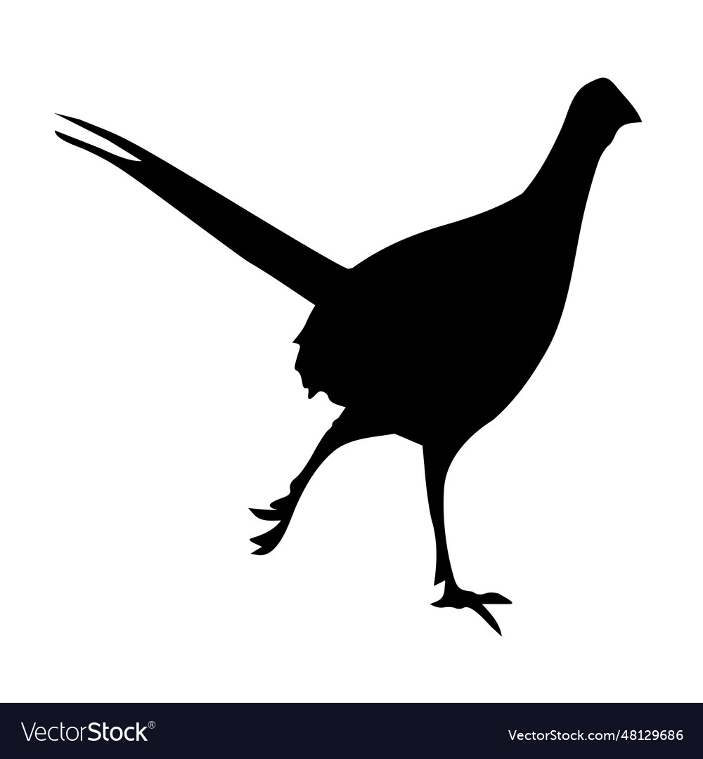 Silhouette of pheasant image Royalty Free Vector Image