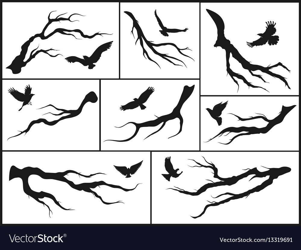 Set of branches and birds Royalty Free Vector Image
