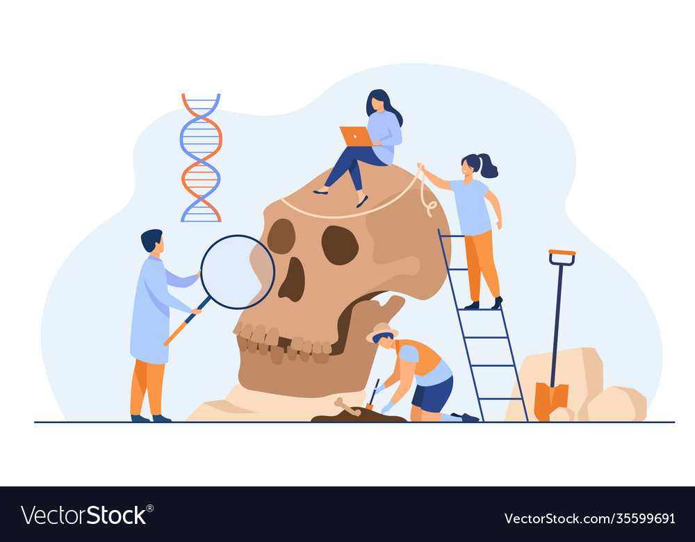 Tiny anthropologists studying neanderthal skull Vector Image Tiny anthropologists studying neanderthal skull Vector Image