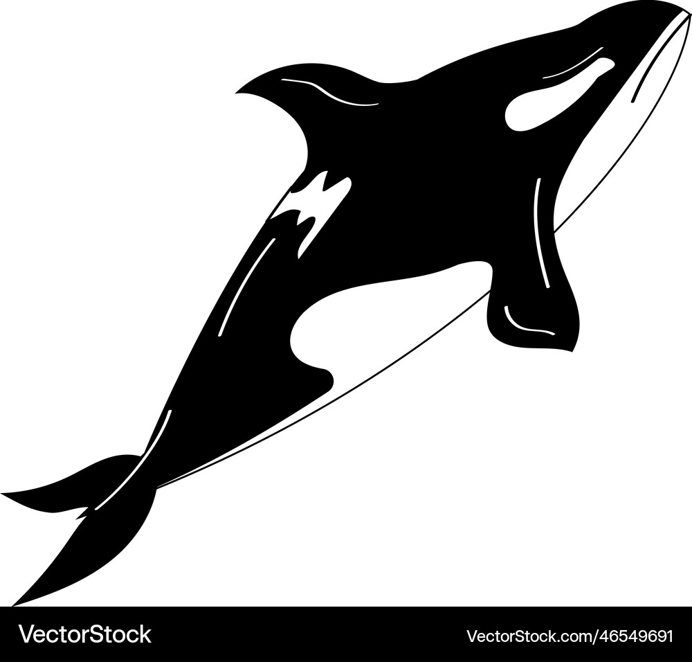 Whale animal monochrome style Royalty Free Vector Image