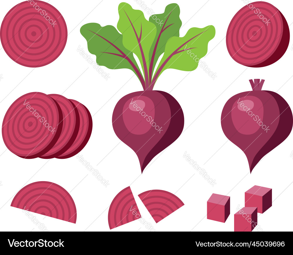 Beet root Royalty Free Vector Image - VectorStock