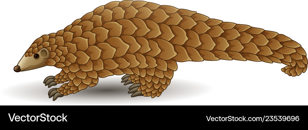 Cartoon pangolin isolated on white background Vector Image