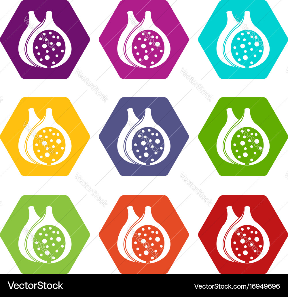Fig fruit icon set color hexahedron Royalty Free Vector