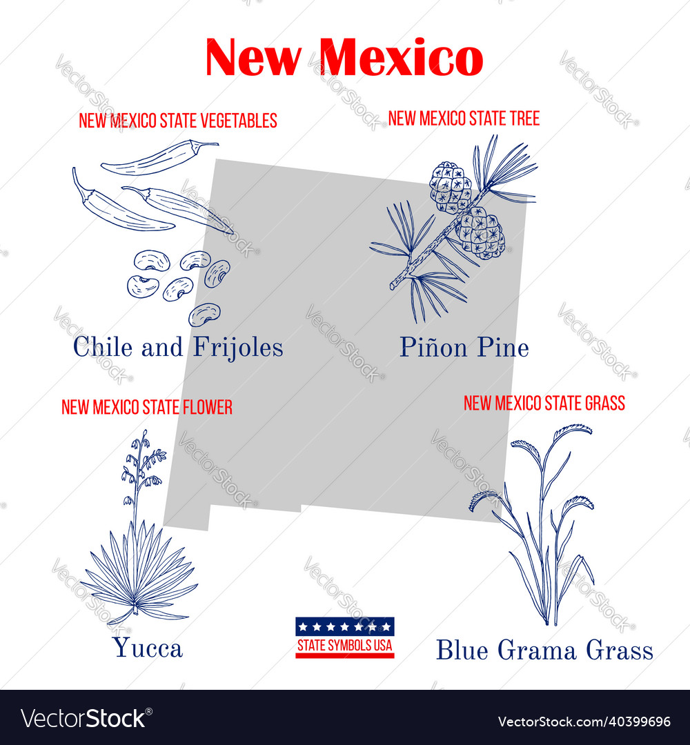New mexico set of usa official state symbols Vector Image