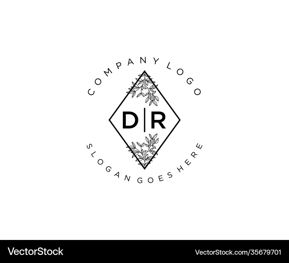 Initial dr letters beautiful floral feminine Vector Image