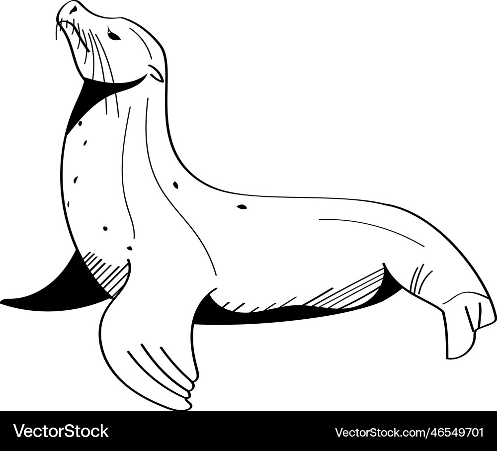 Seal animal monochrome style Royalty Free Vector Image