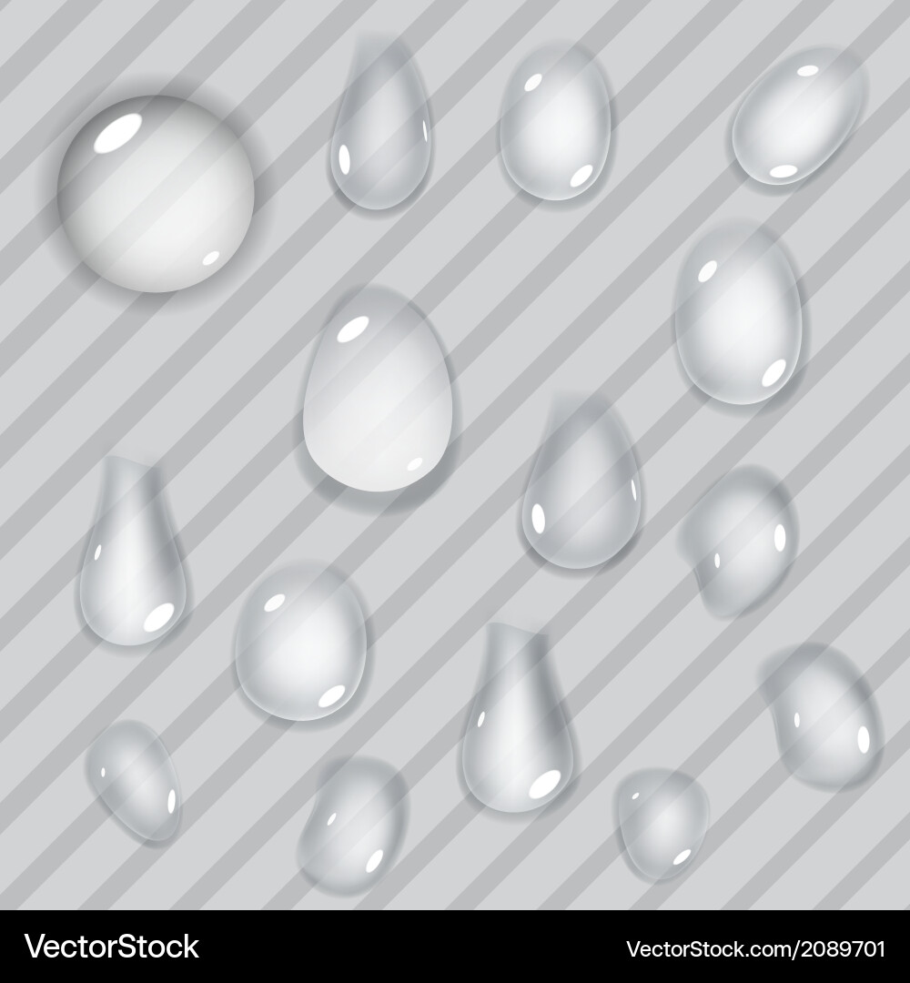 Transparent drops Royalty Free Vector Image - VectorStock