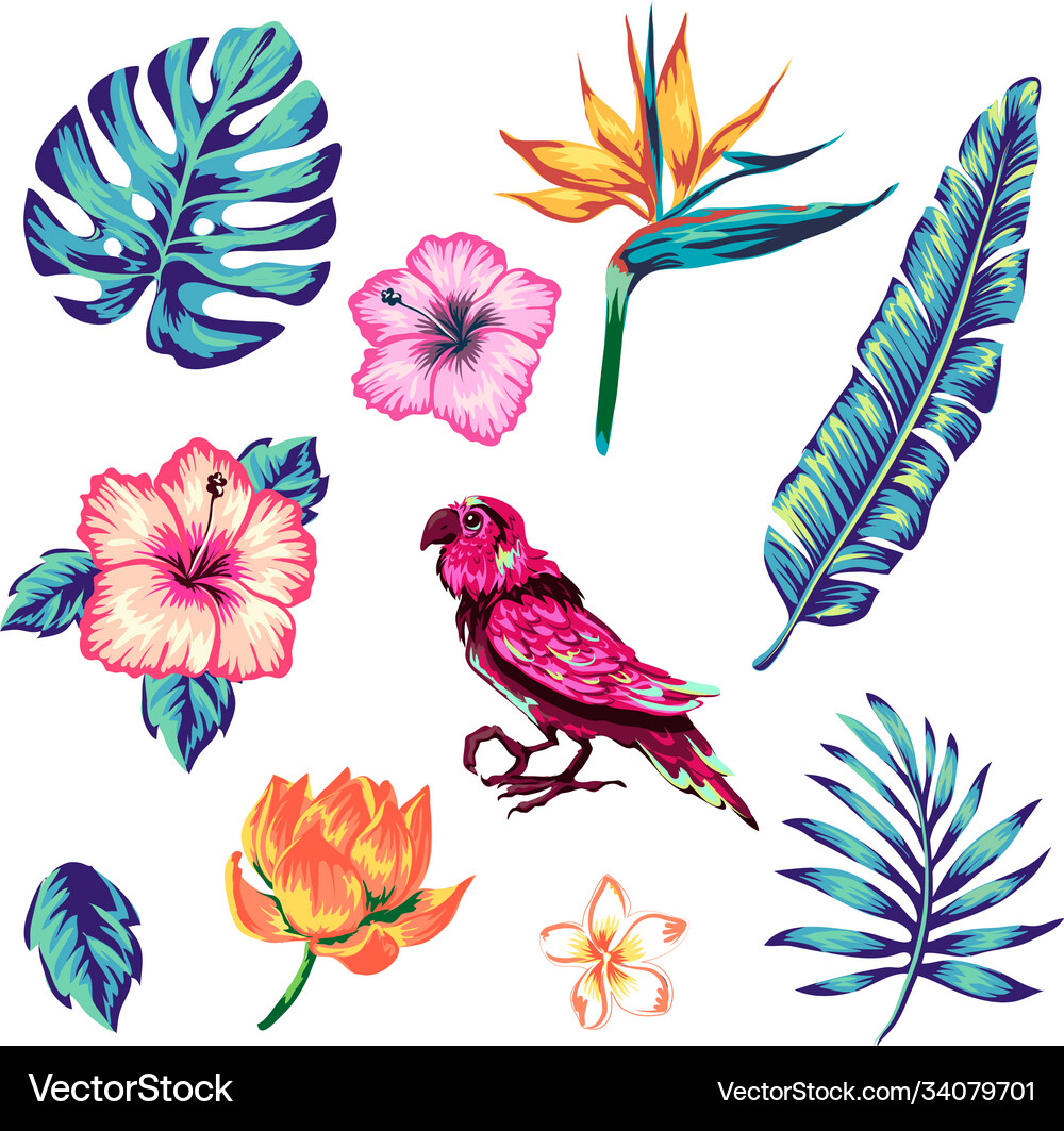 Tropical collection with exotic flowers Royalty Free Vector
