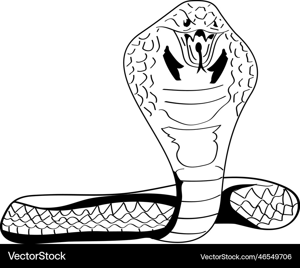 Cobra animal monochrome style Royalty Free Vector Image