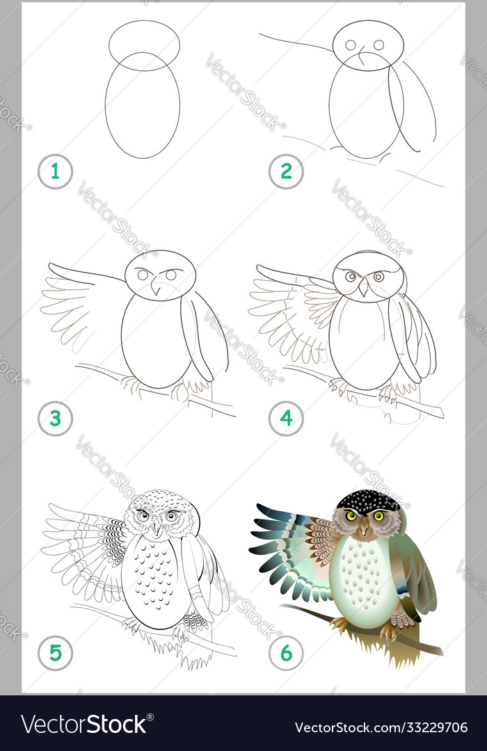 Educational page for kids how to draw step Vector Image