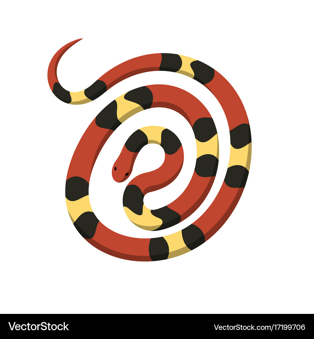 Rolled in spiral circle coral snake icon Vector Image
