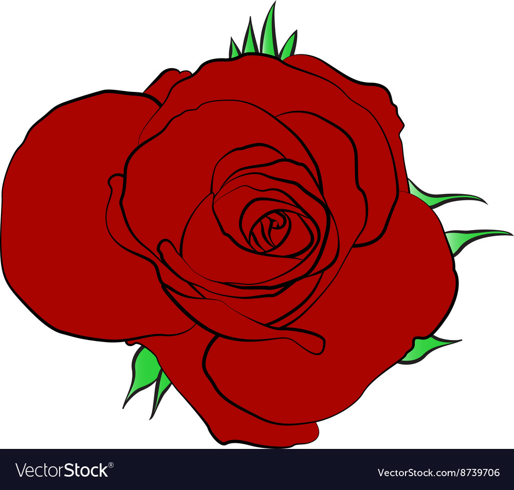 Rose red Royalty Free Vector Image - VectorStock