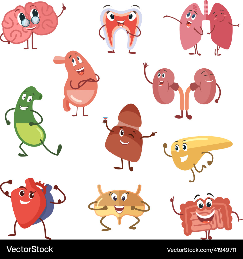 Human organs with funny emotions cartoon isolate Vector Image