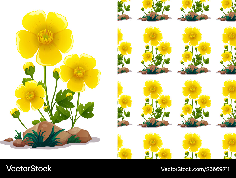 Seamless background design with yellow flowers Vector Image