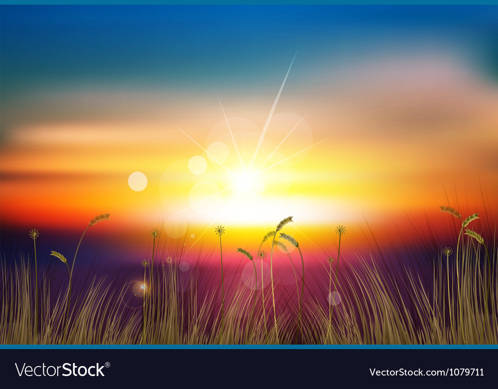 Sunset Royalty Free Vector Image - VectorStock