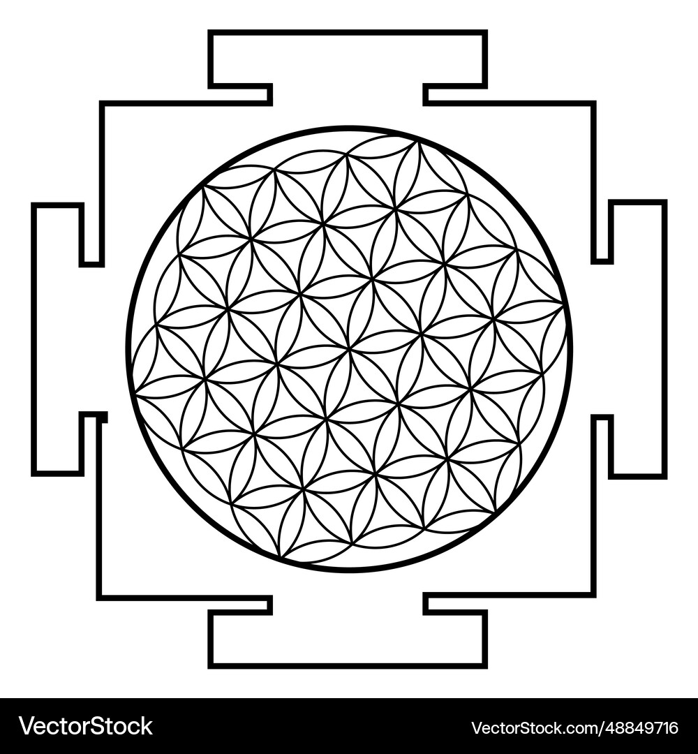 Flower life sacred geometry design Royalty Free Vector Image