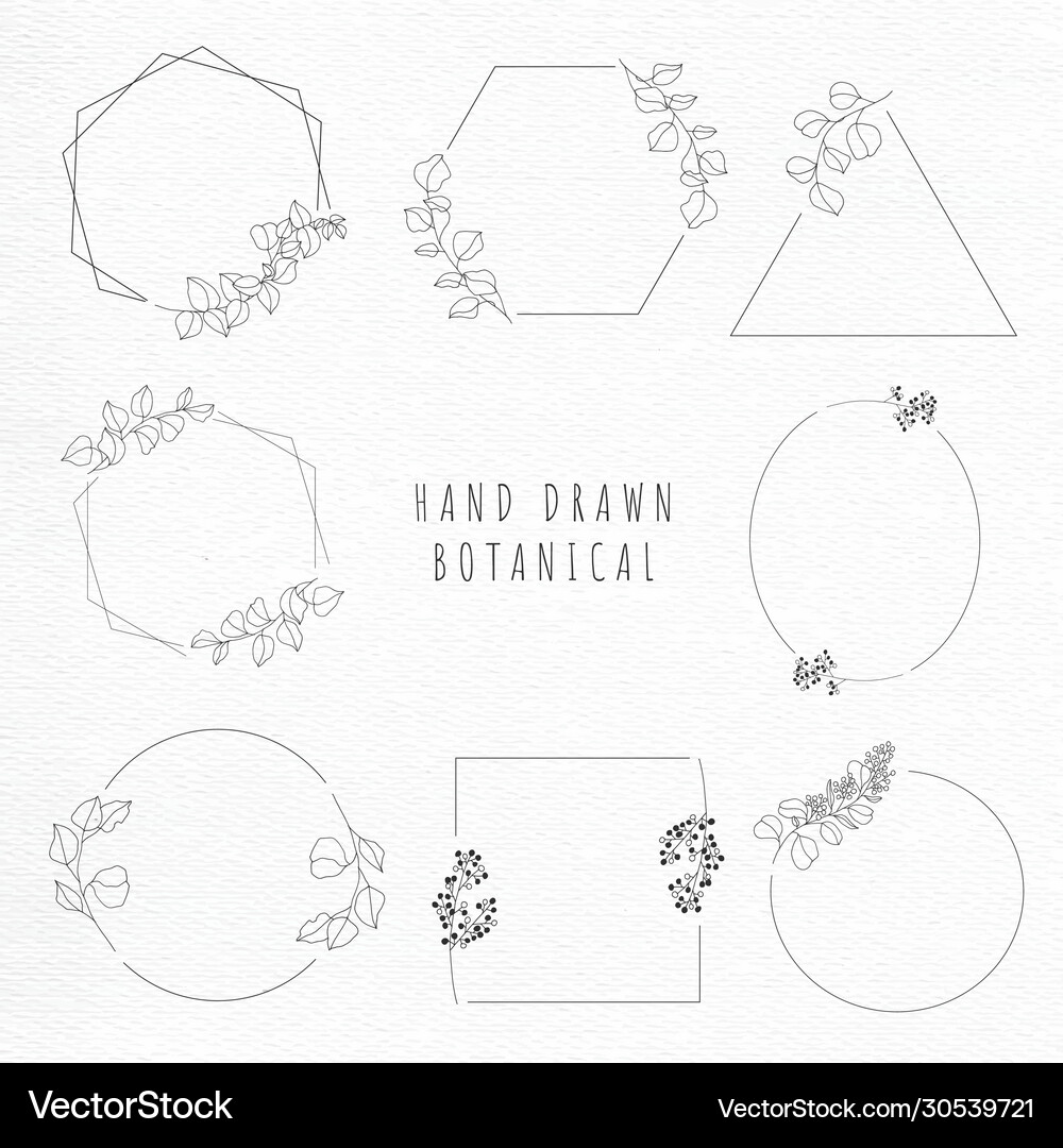 Botanical flower wreath and frame hand draw line Vector Image