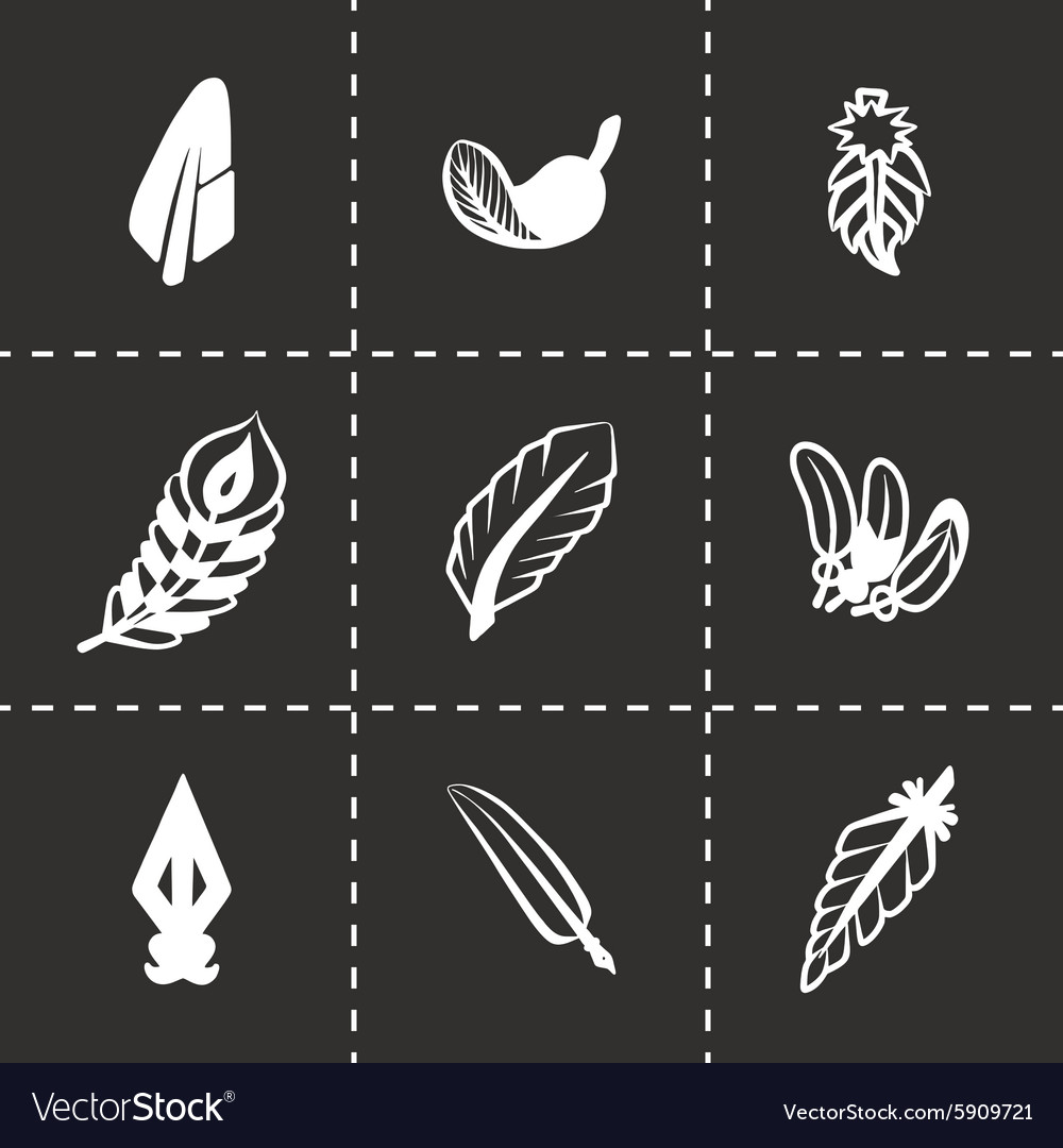 Feather icon set Royalty Free Vector Image - VectorStock