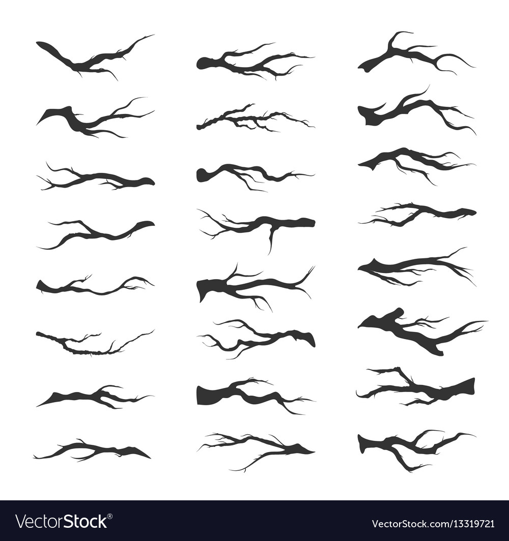 Set dry tree branches Royalty Free Vector Image