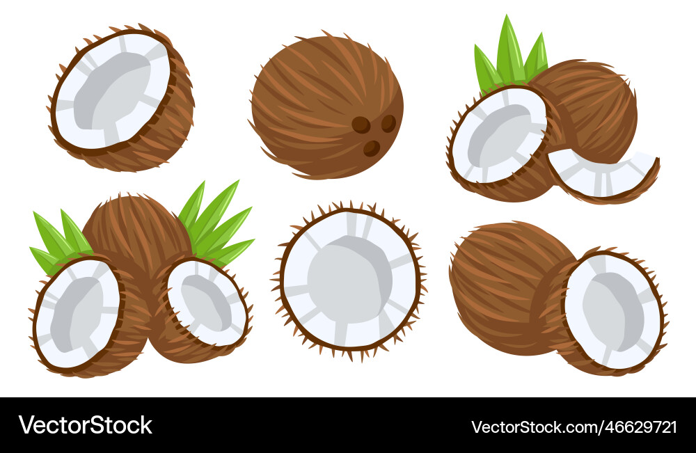 Set of coconut icons Royalty Free Vector Image
