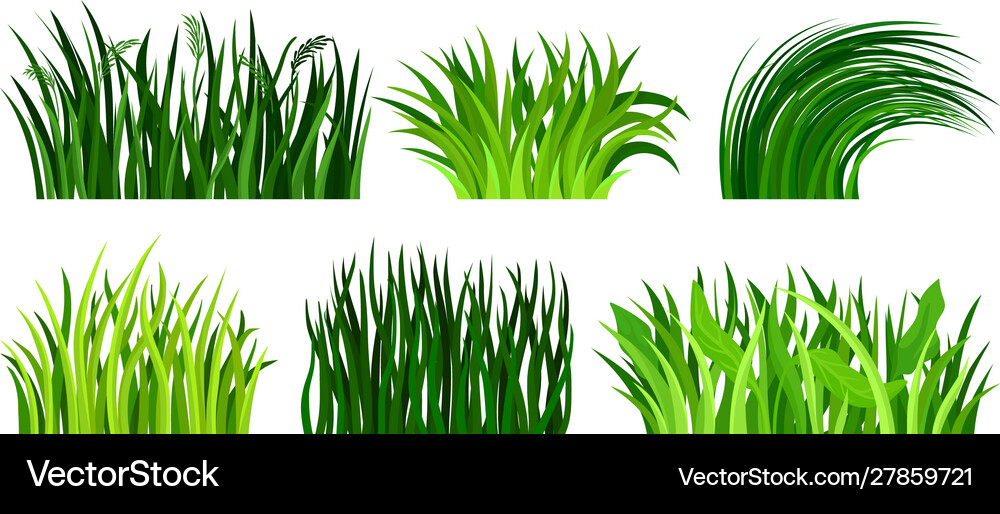 Six types of different tufts green grass Vector Image