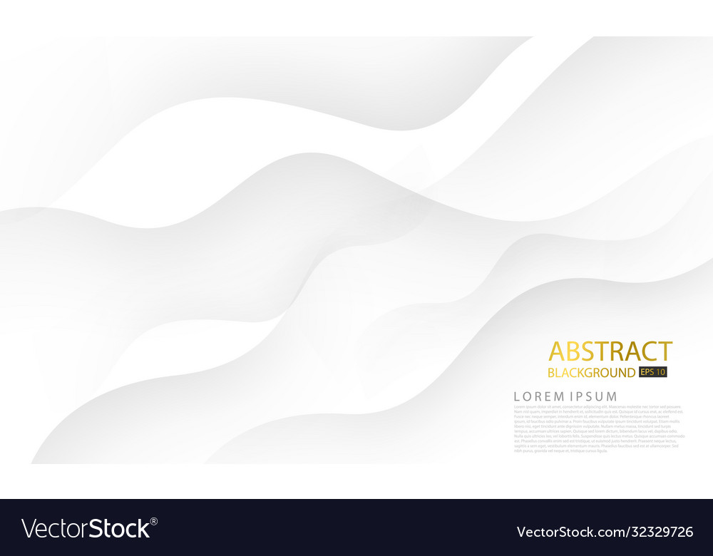 Abstract grey background poster with dynamic Vector Image