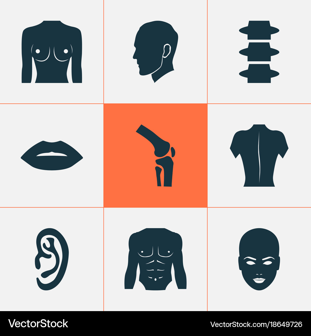 Body icons set with listen backbone Royalty Free Vector