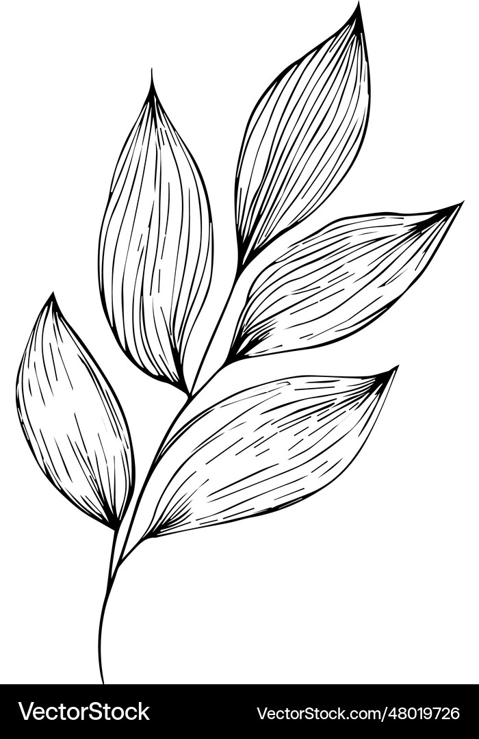 Botanical svg printing template simple tattoo Vector Image