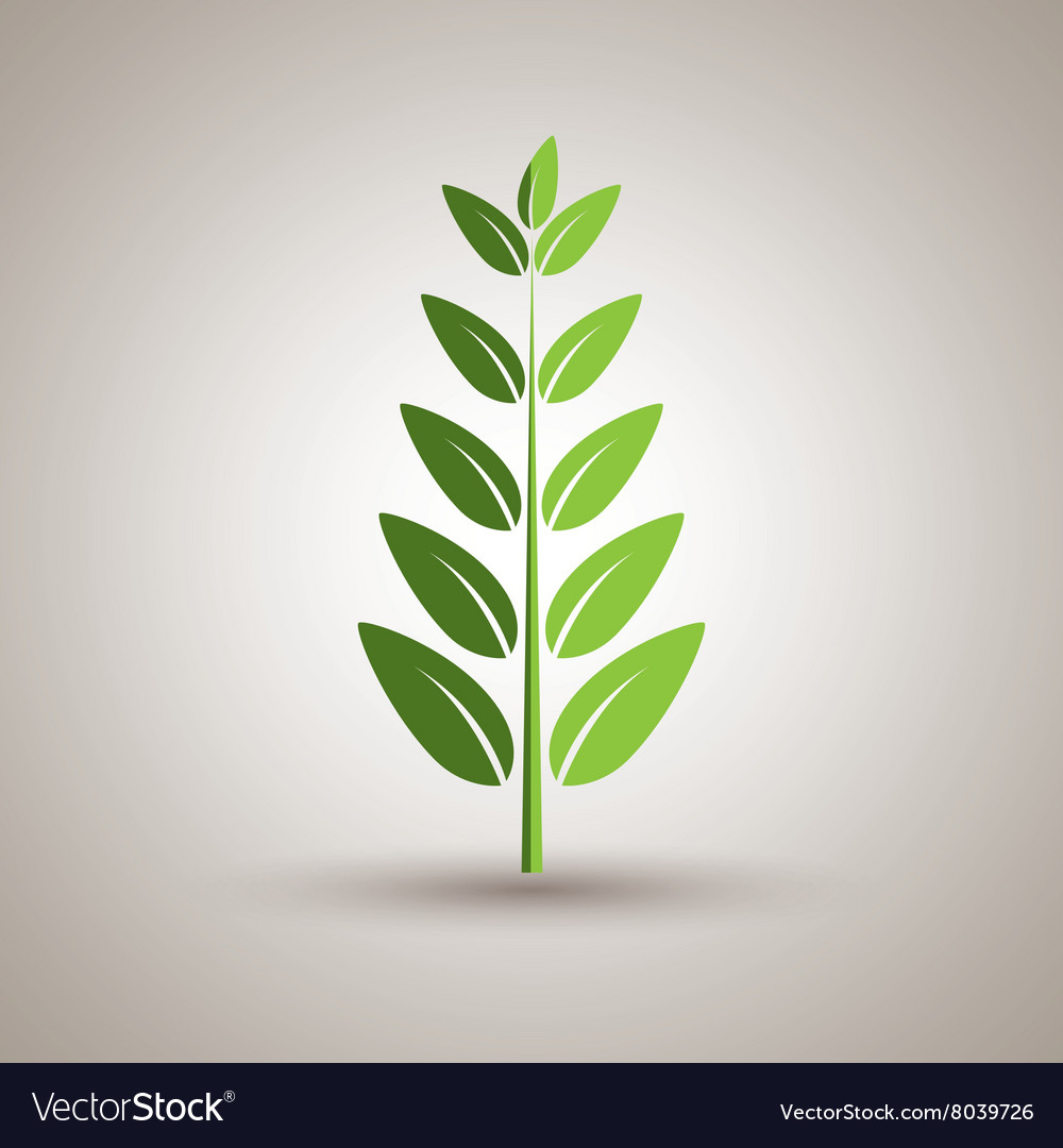 Leaf icon design Royalty Free Vector Image - VectorStock