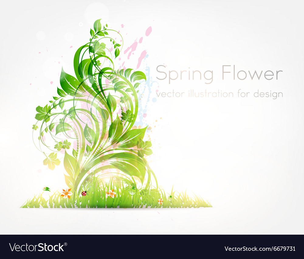 Spring flower background Royalty Free Vector Image