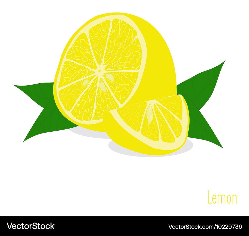 Lemon slices set of lemons Royalty Free Vector Image