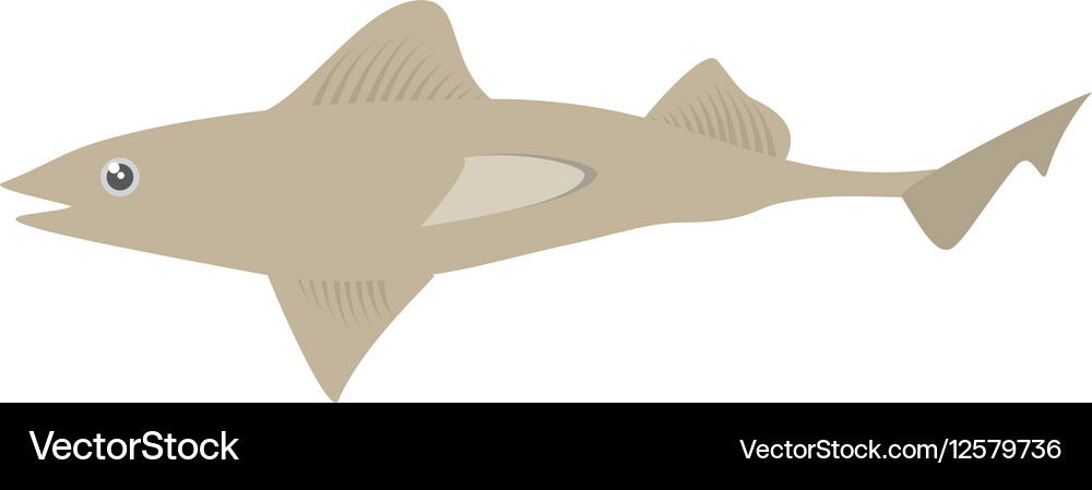 Shark fish ocean species world Royalty Free Vector Image