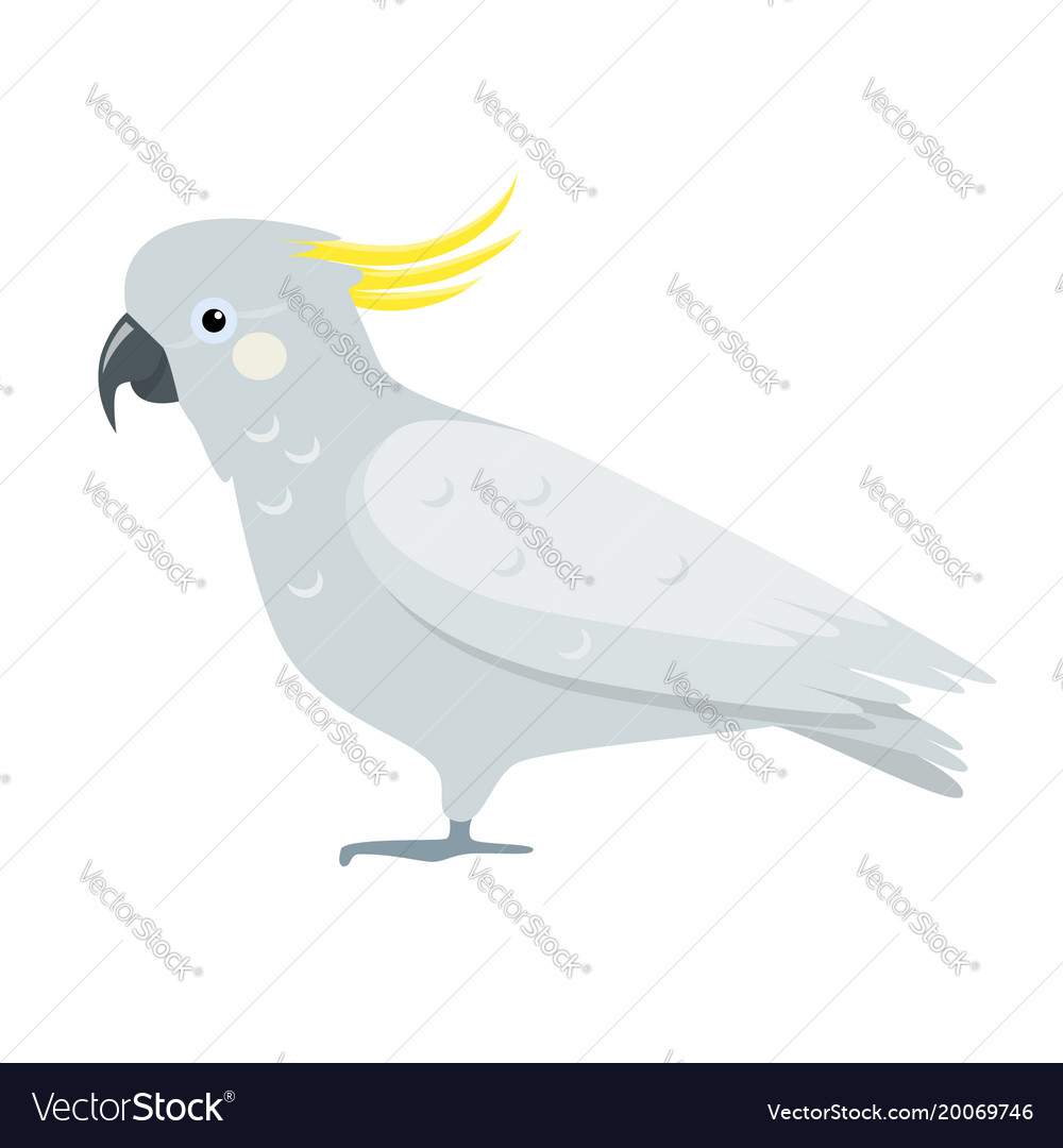Cockatoo Parrot Icon In Flat Style Royalty Free Vector Image