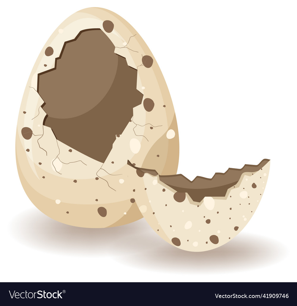 Cracking eggs on white background Royalty Free Vector Image