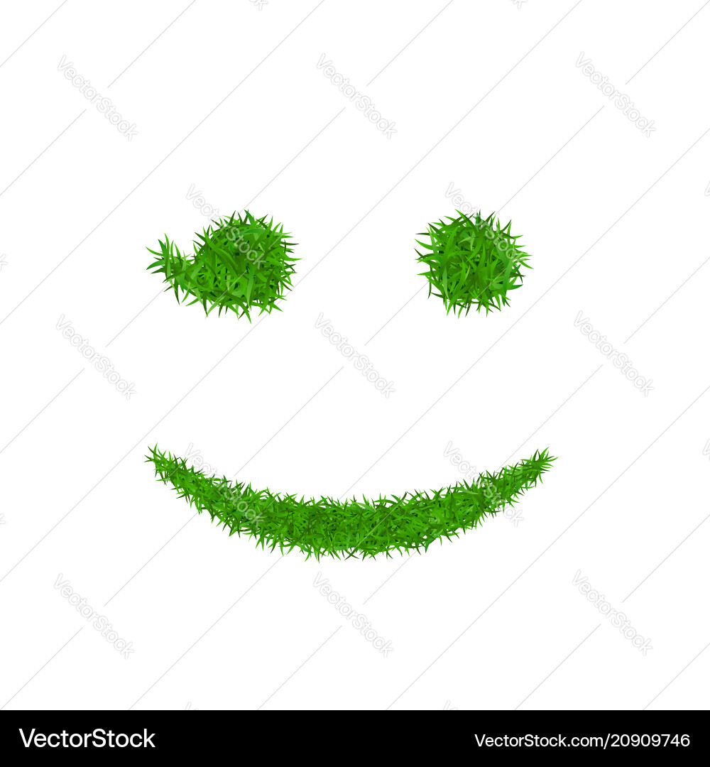 Green grass face wink smile smiley grassy Vector Image