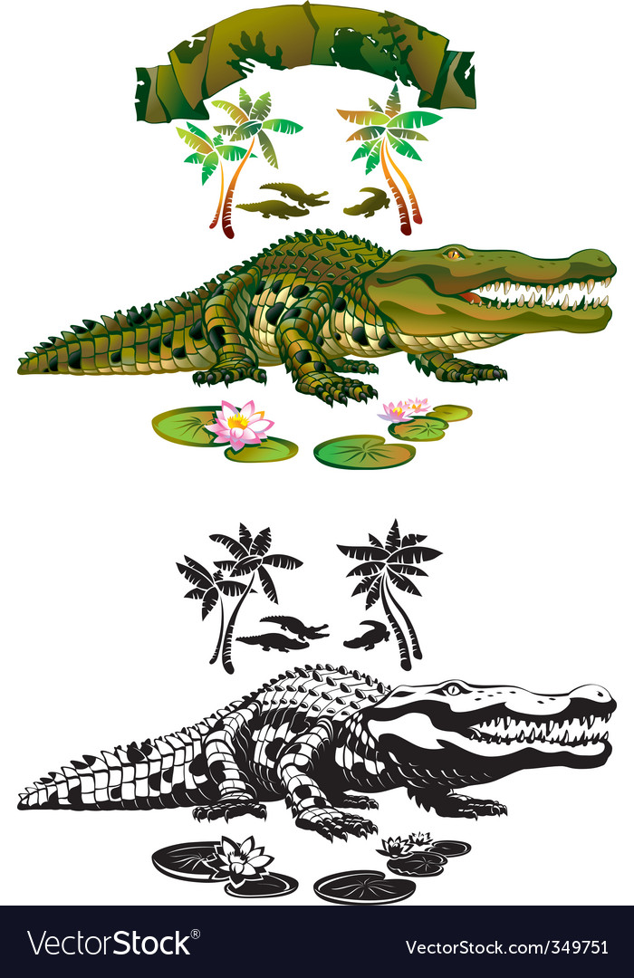 Crocodile Royalty Free Vector Image - VectorStock