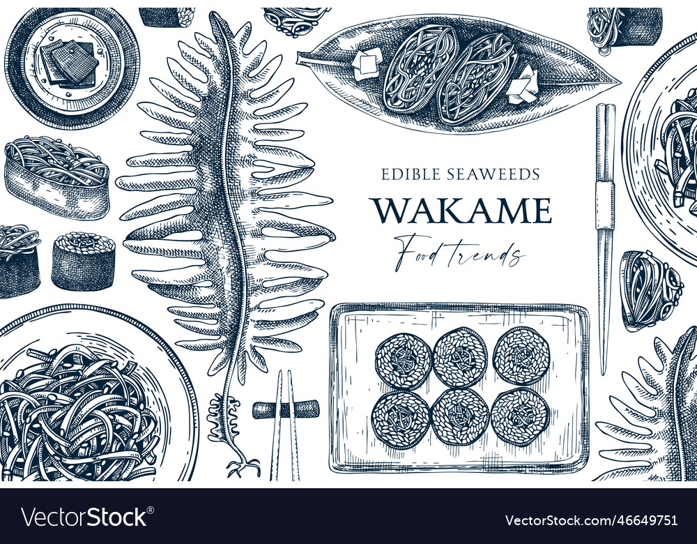 Edible seaweed background hand drawn wakame Vector Image Edible seaweed background hand drawn wakame Vector Image