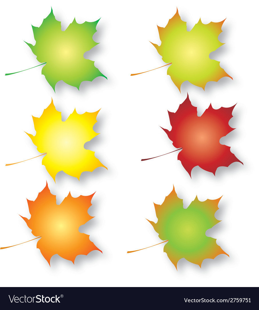 Fall leaves Royalty Free Vector Image - VectorStock