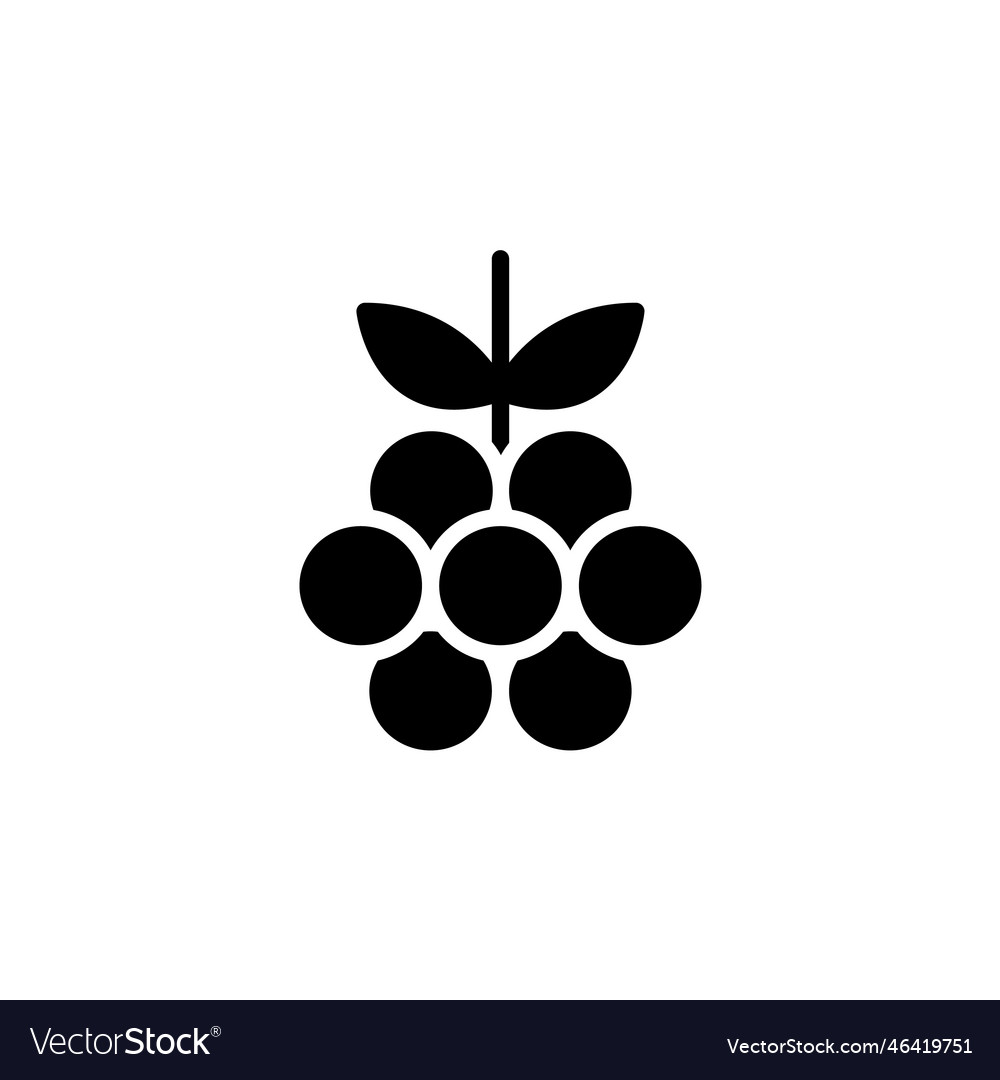 Raspberry icon fruit icon solid style perfect use Vector Image
