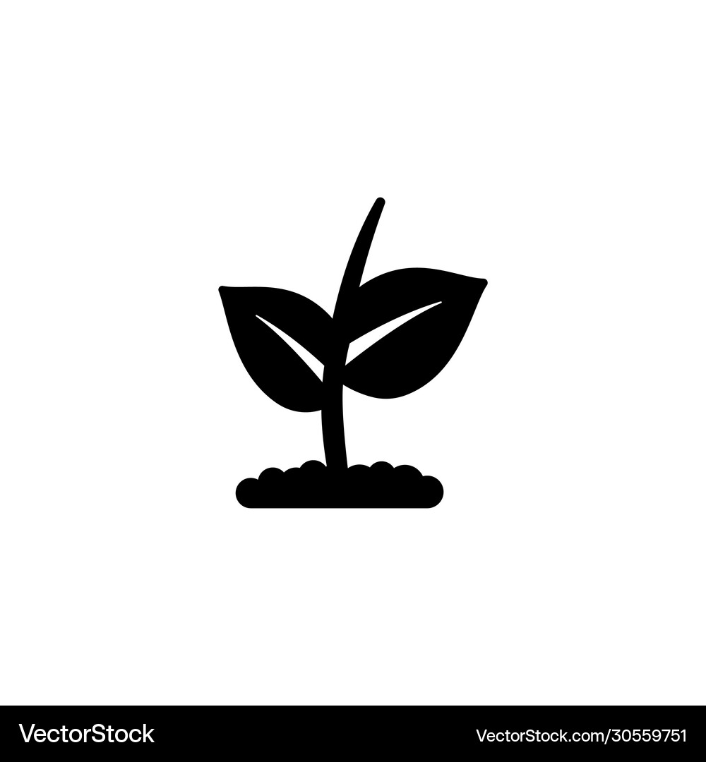Young plant sprout agriculture tree growth flat Vector Image