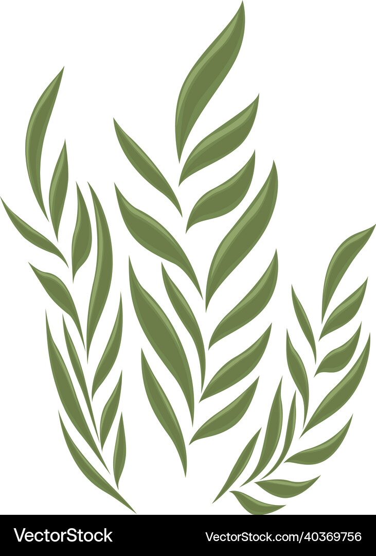 Sea plant nature Royalty Free Vector Image - VectorStock