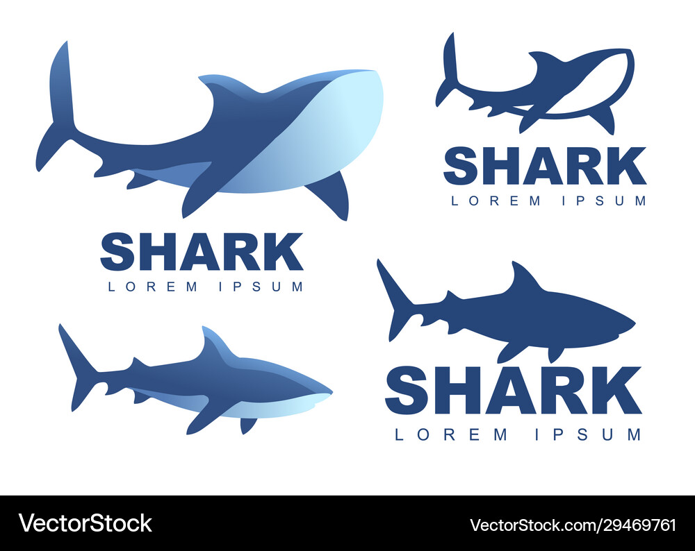 Set four shark logo with title and without blue Vector Image