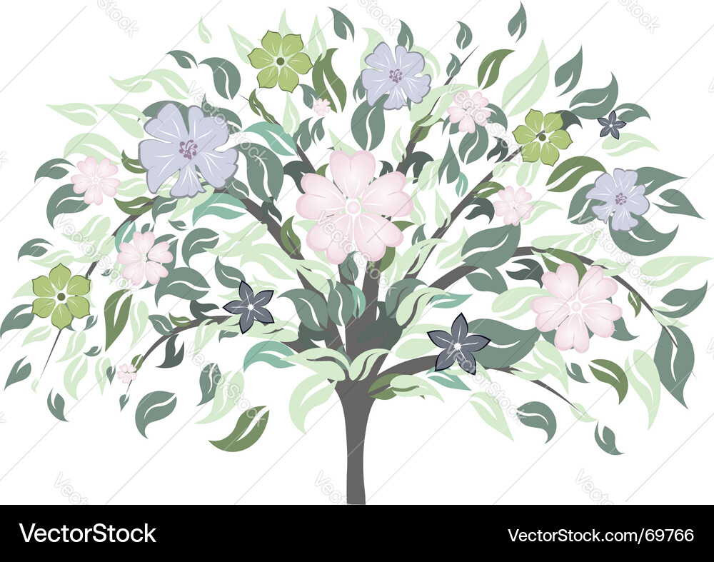 Blossom tree Royalty Free Vector Image - VectorStock