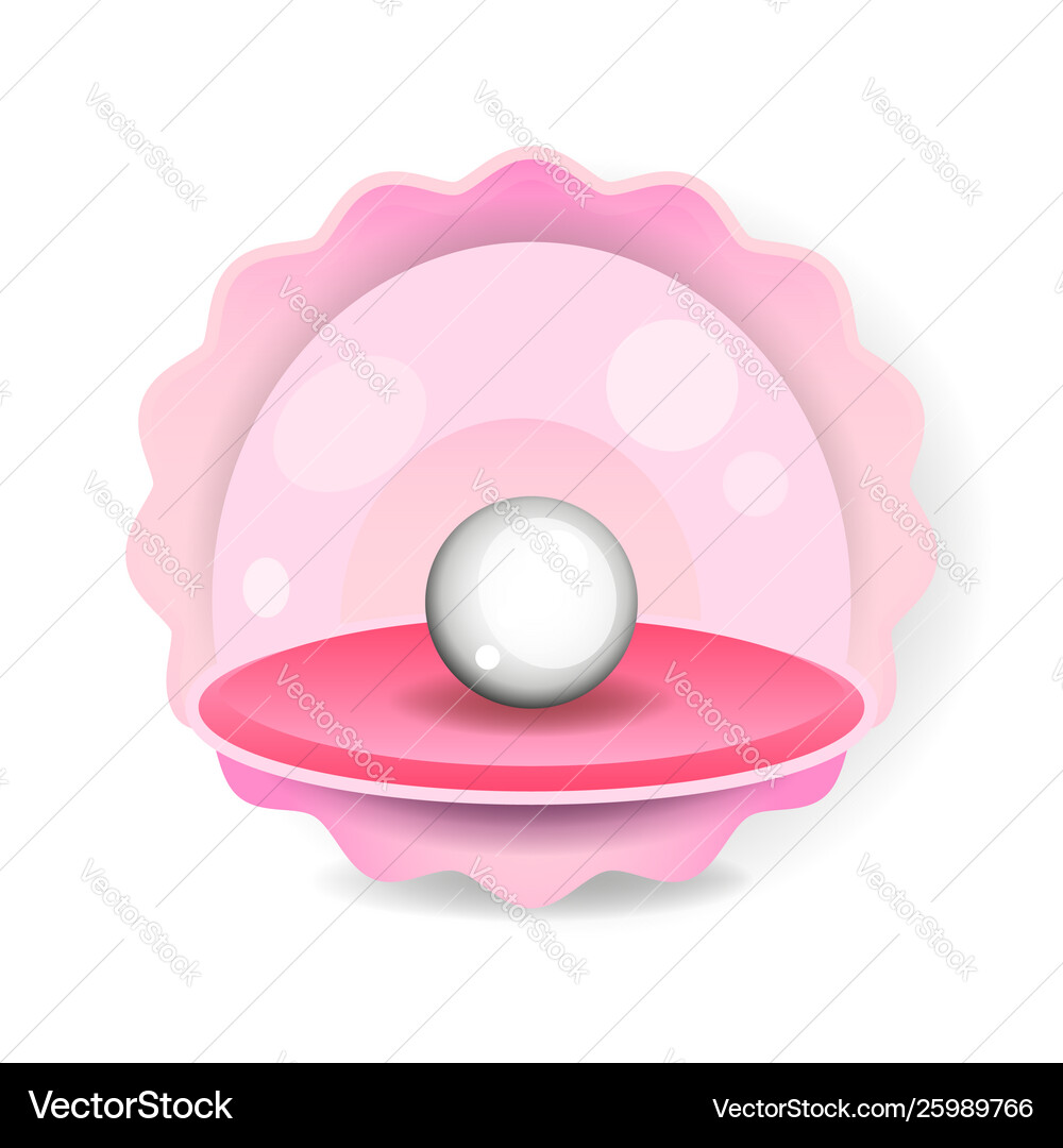 Finest quality beautiful natural open pearl shell Vector Image