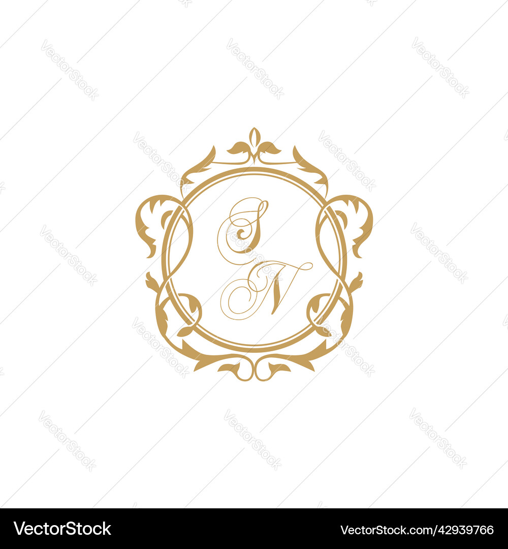 Sn initial wedding invitation elegant graphic Vector Image