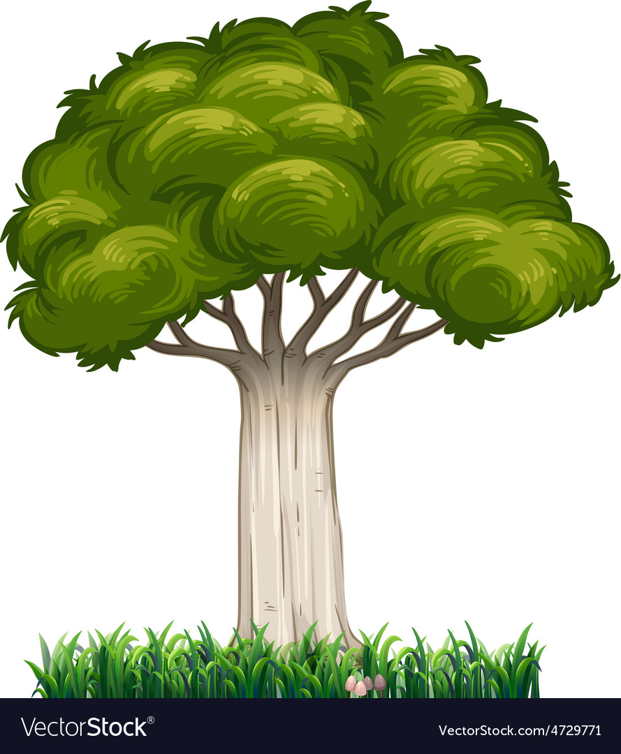 Single tree Royalty Free Vector Image - VectorStock